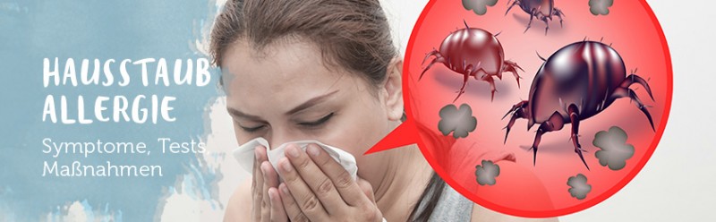 Milben Allergie Behandeln _ Hausstaubmilben-Allergie beim Hund – FPISRQ